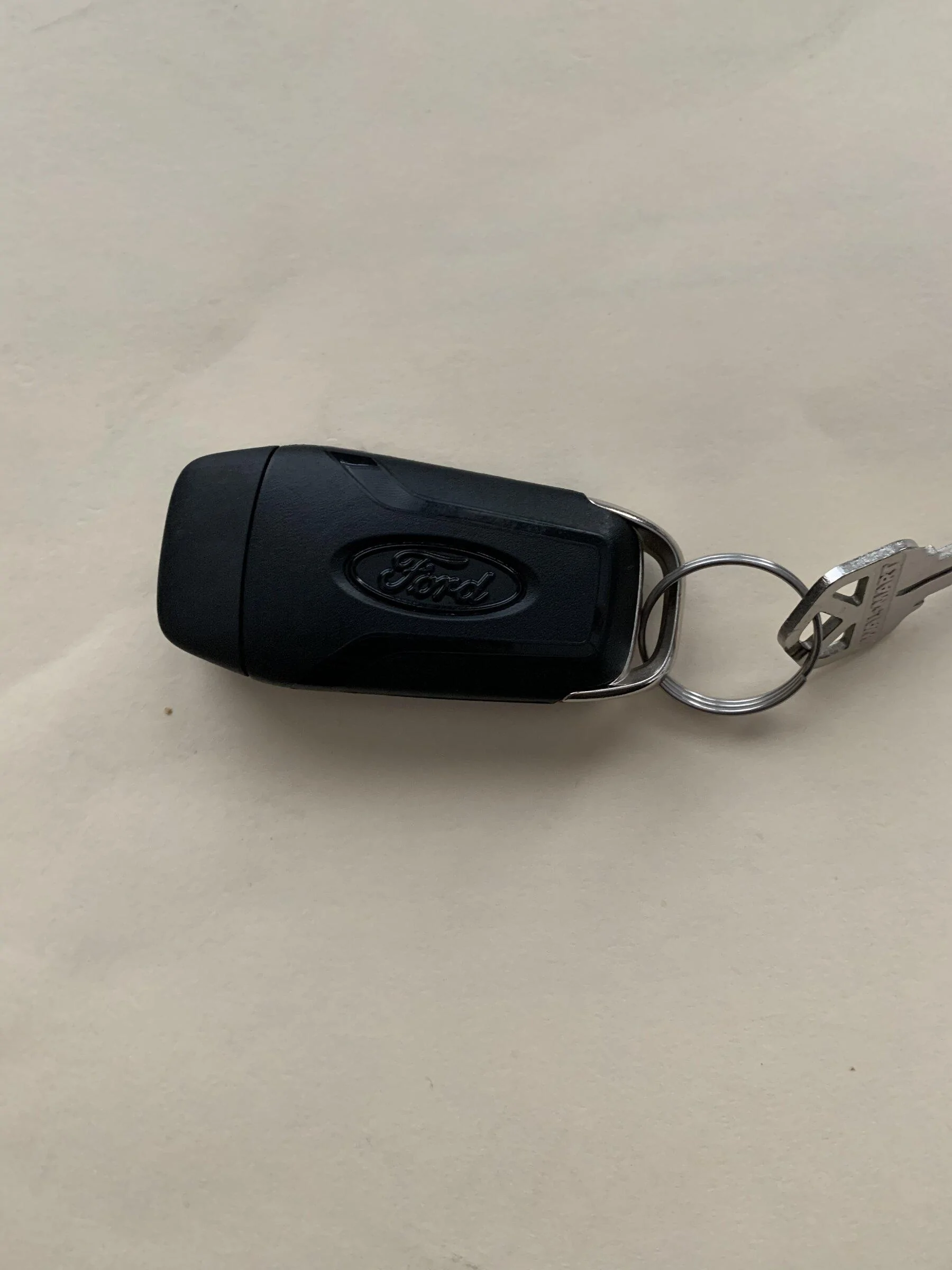 Fun easy project! Painted the Ford oval on my key. | Ford Lightning ...