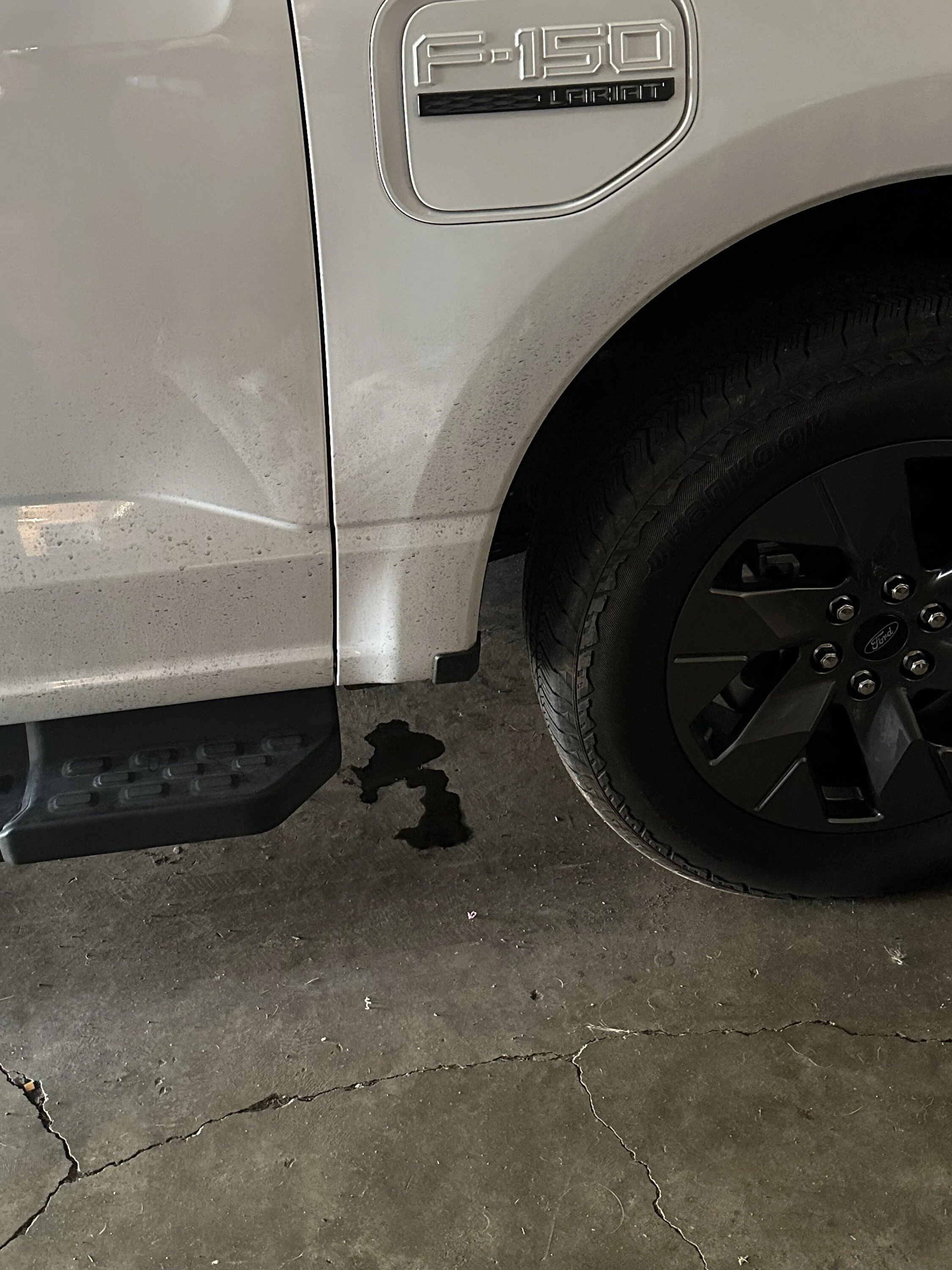 Fluid leaking by front passenger tire | Ford Lightning Forum For F-150 ...